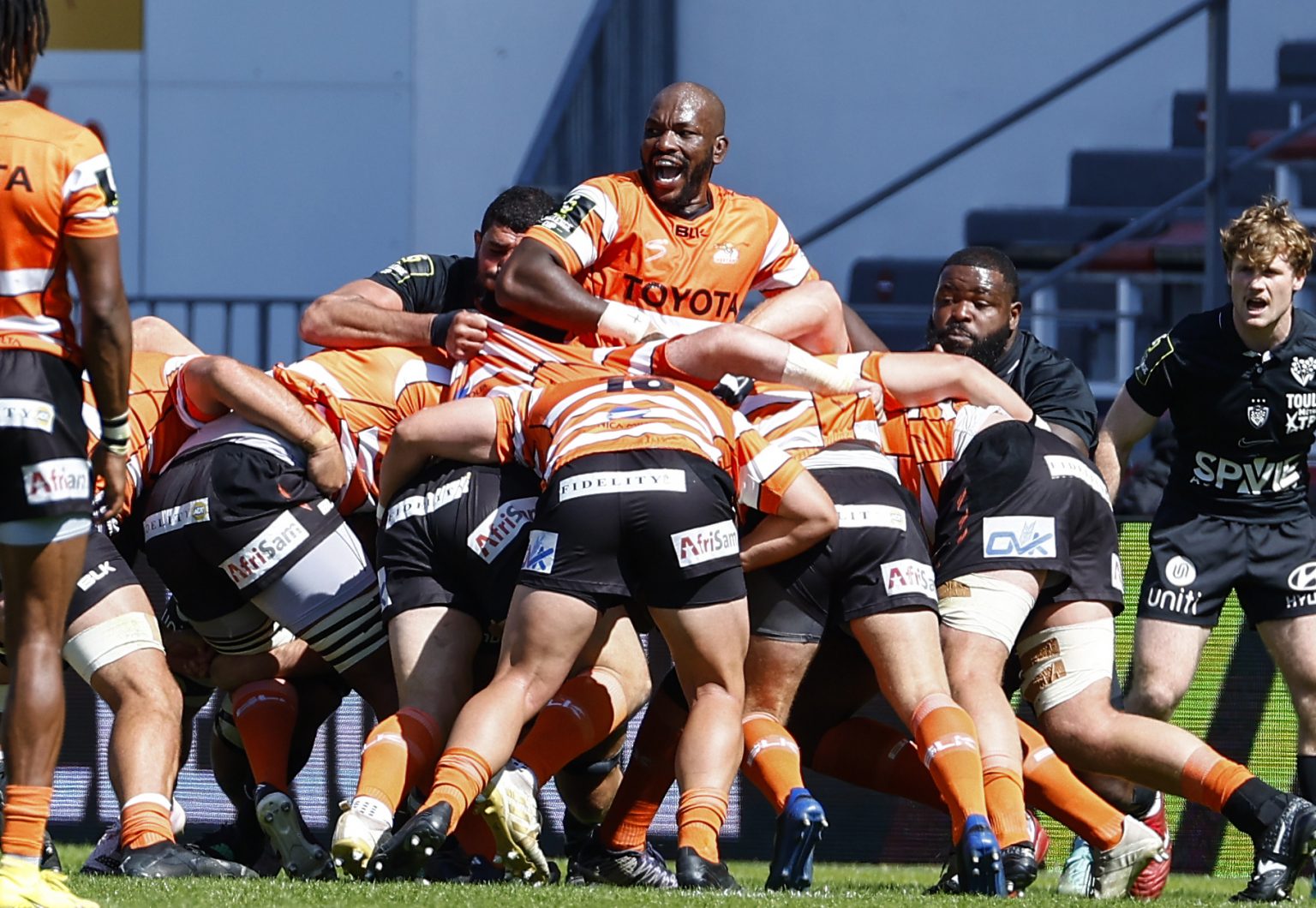 Netherlands rugby fans all-in on Cheetahs fixture, according to union