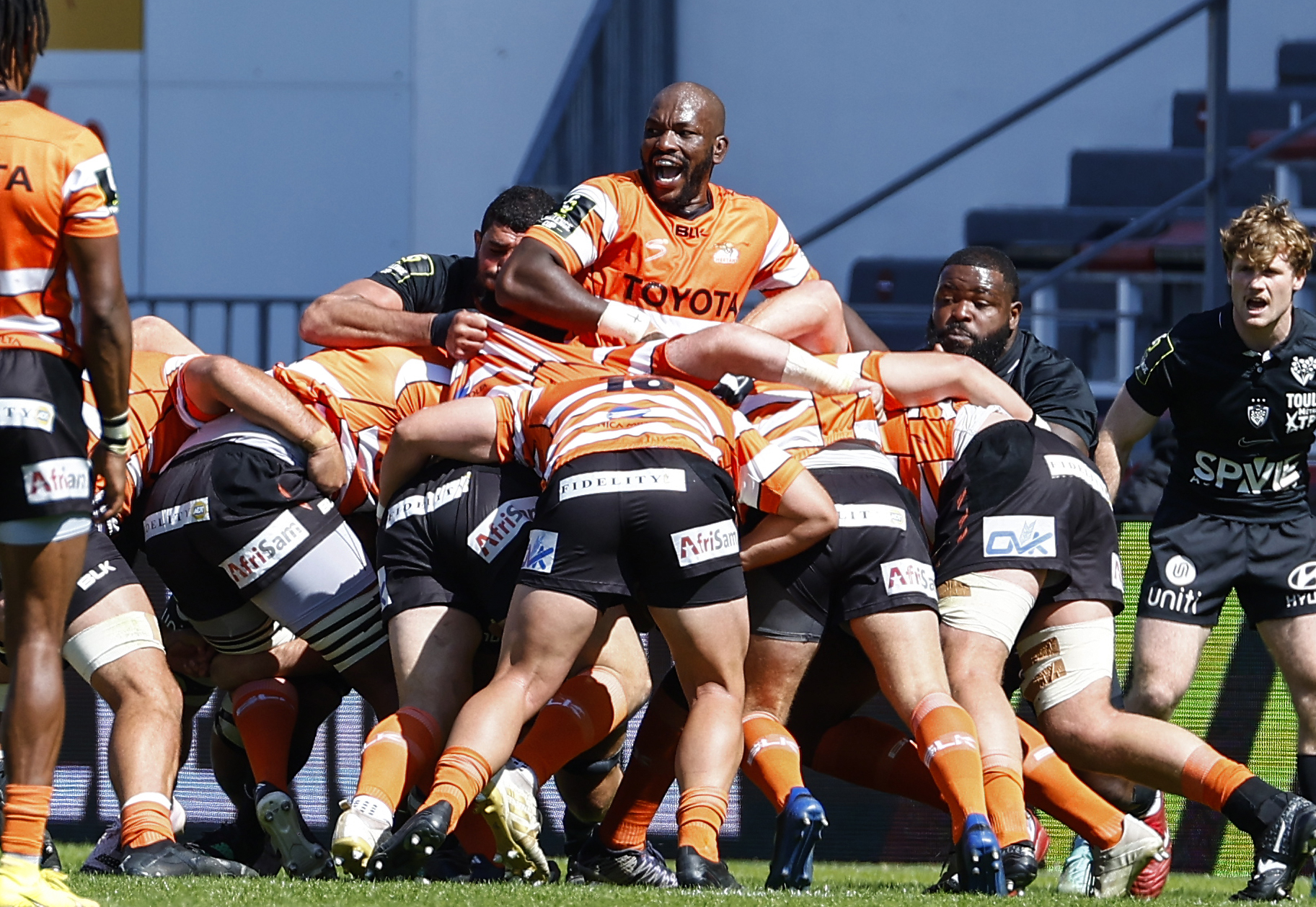 Netherlands rugby fans all-in on Cheetahs fixture, according to union