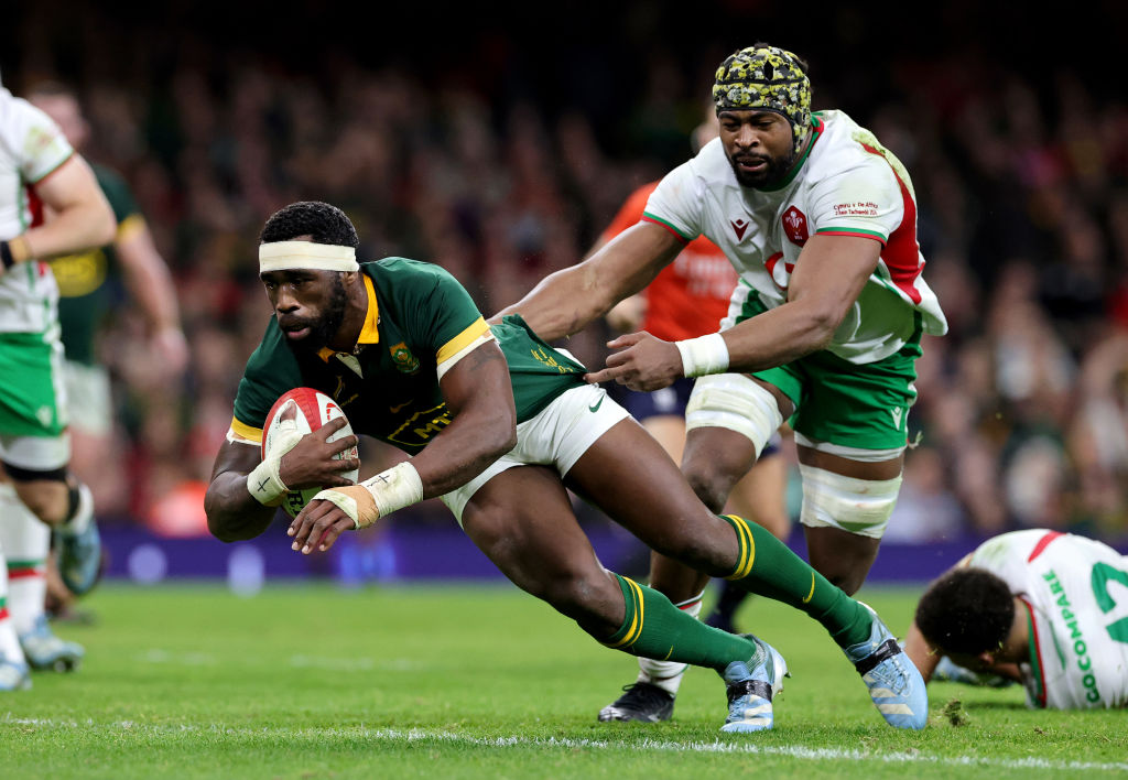 South Africa rugby fixtures: When the Springboks and Springbok Women ...