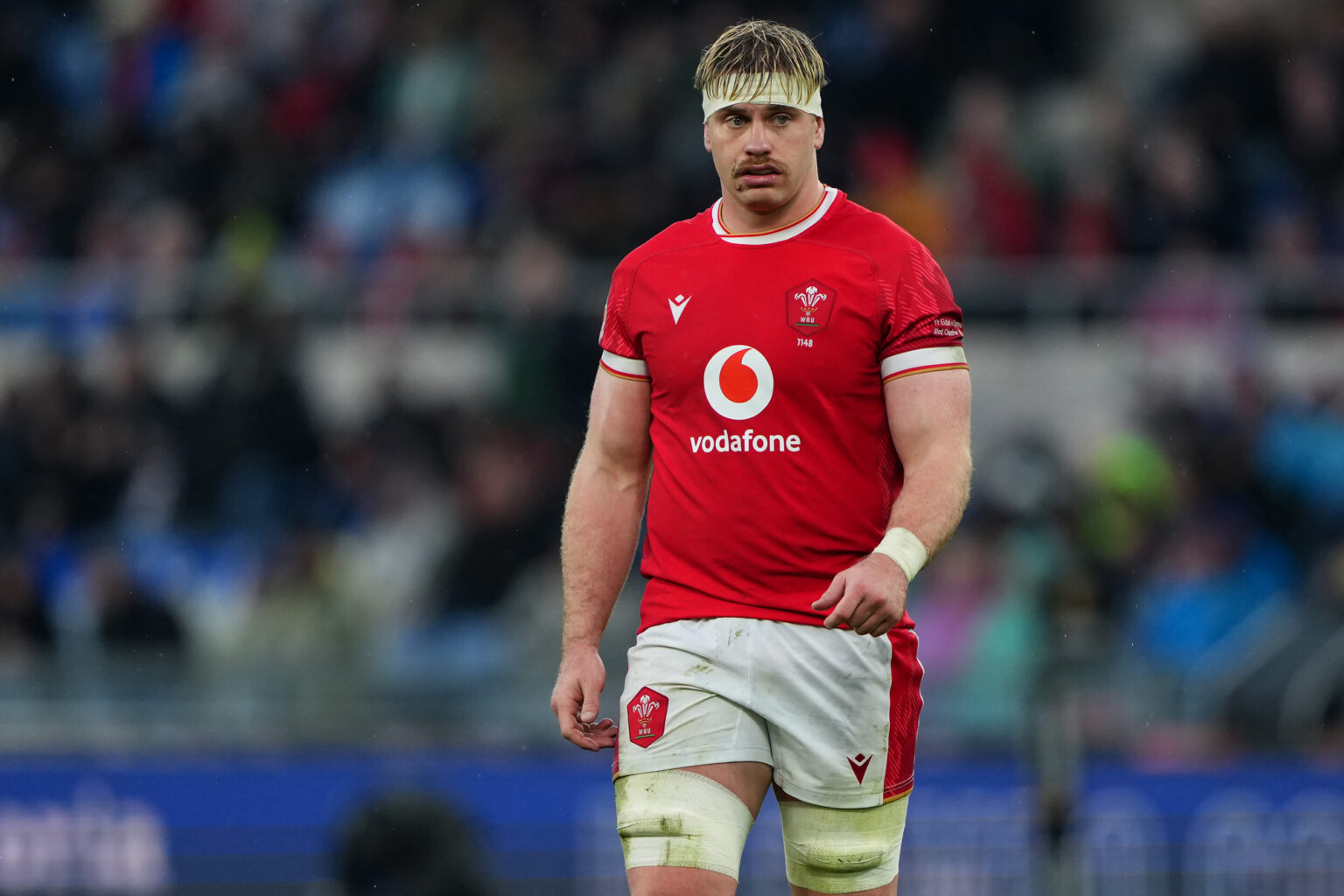 Wales Six Nations 2025 squad: Aaron Wainwright and Joe Roberts come ...